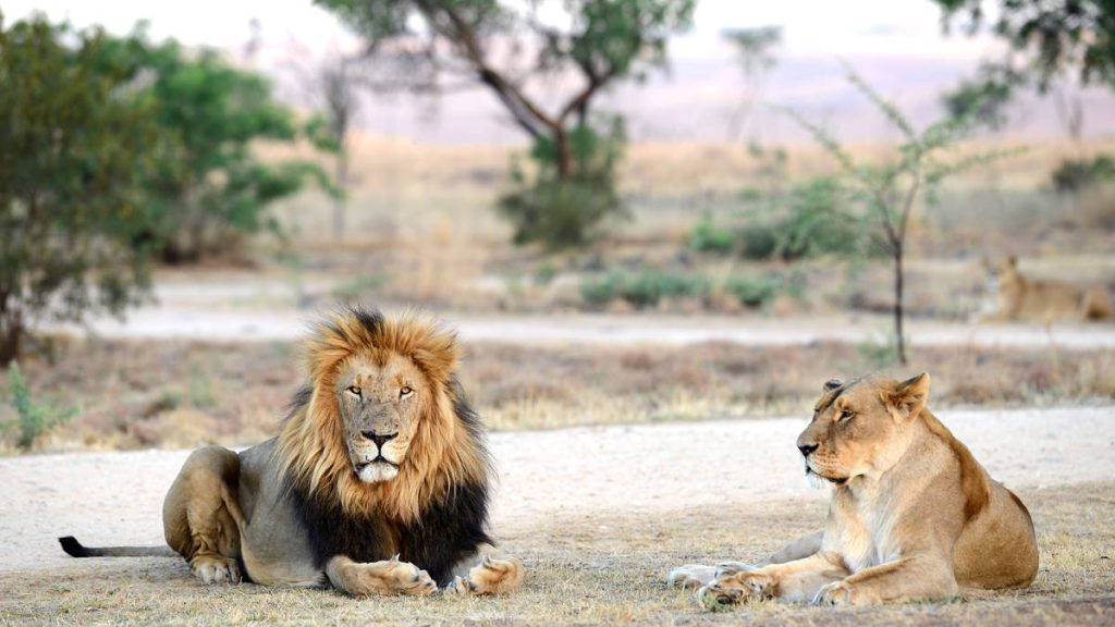 Attractions – Leloko